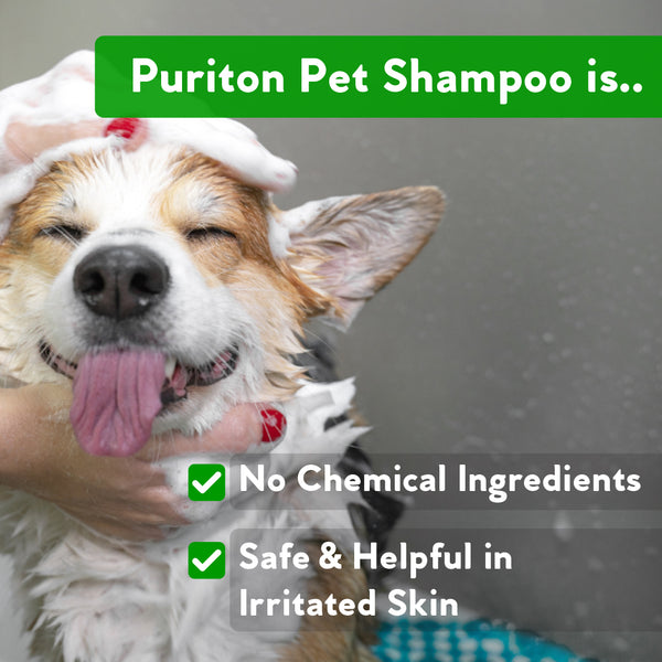 Puriton® Pet Shampoo